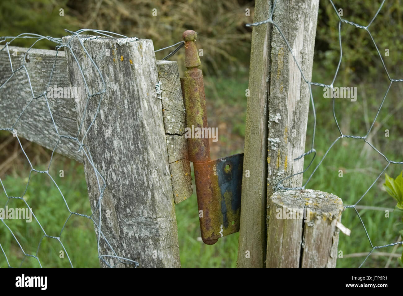 Wire hinge hi-res stock photography and images - Alamy