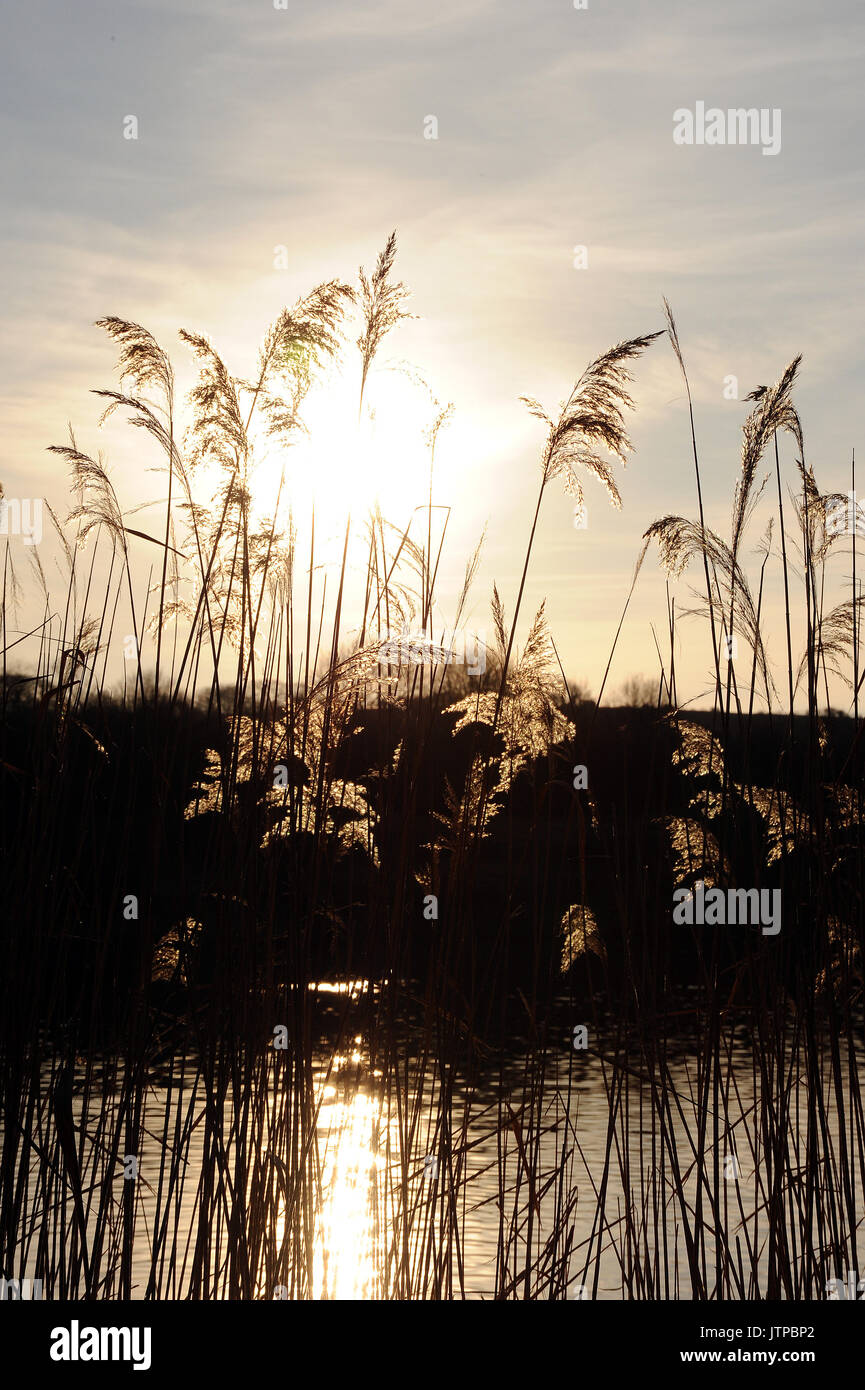 Cosmeston lake history hi-res stock photography and images - Alamy