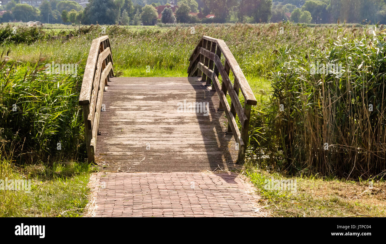 Wooden bridge and reed Stock Photo - Alamy