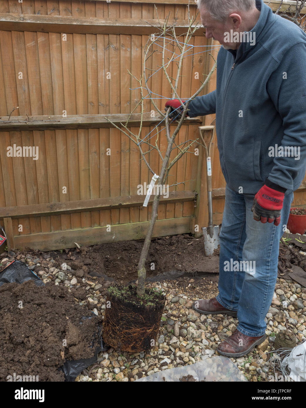 Tree planting garden hi-res stock photography and images - Alamy