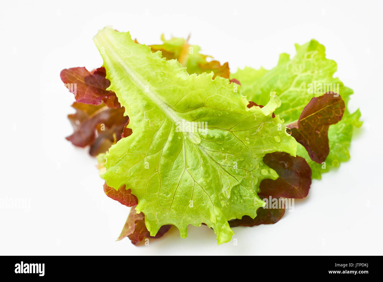Lettuce cook hi-res stock photography and images - Alamy