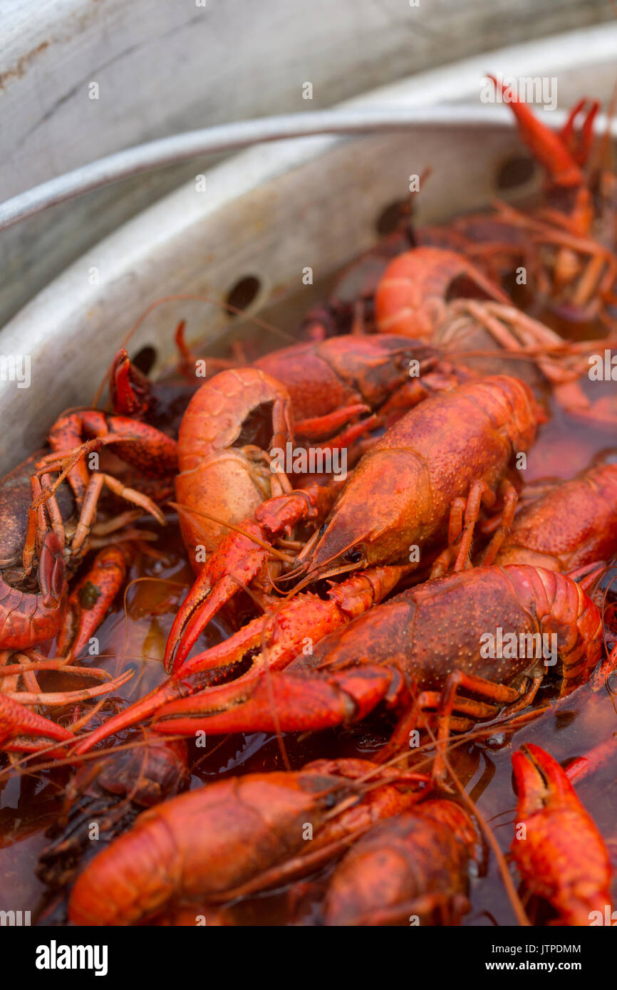 Louisiana Crawfish Boil Stock Photo - Alamy