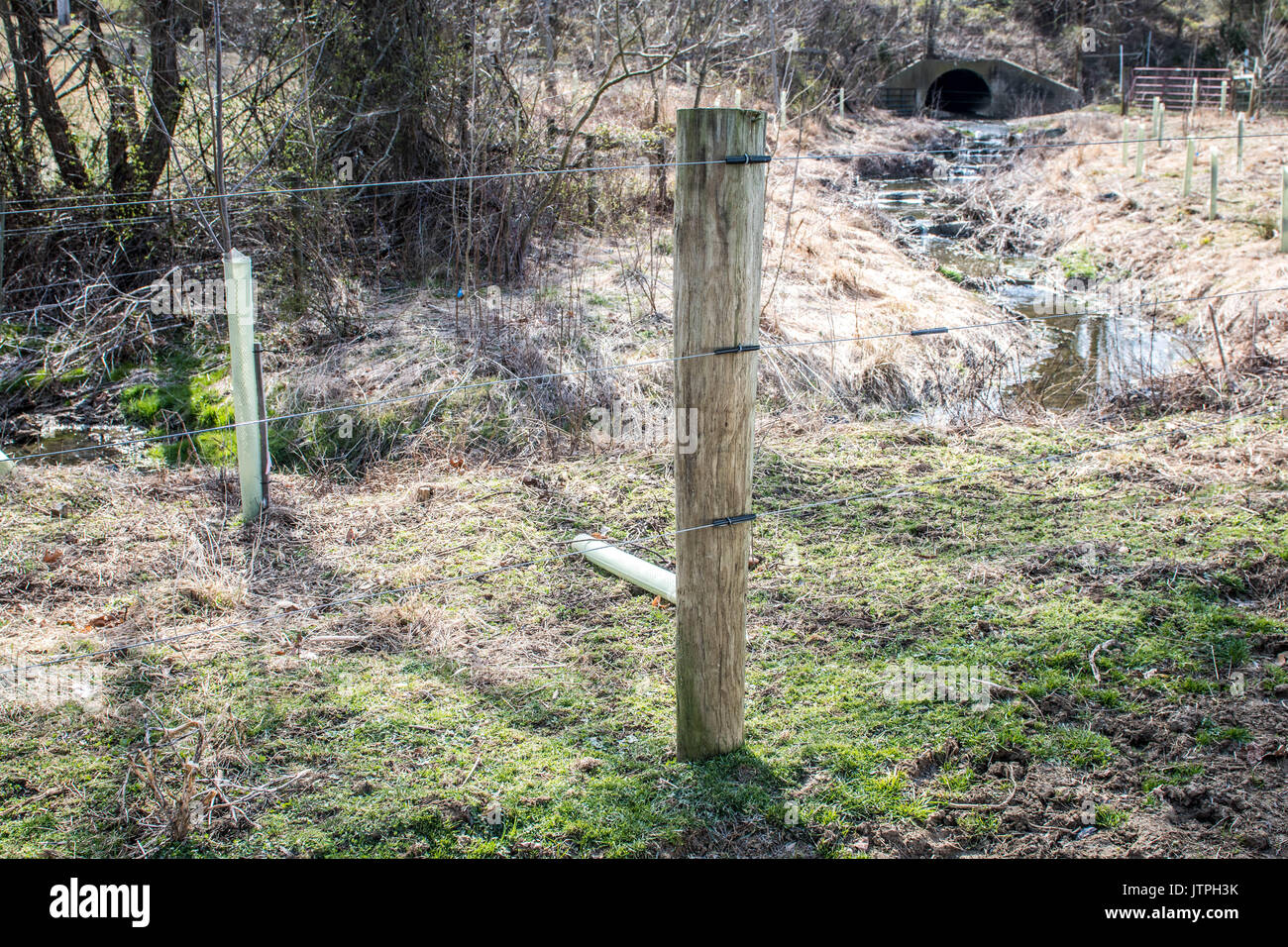 Fencing young tree hi-res stock photography and images - Alamy