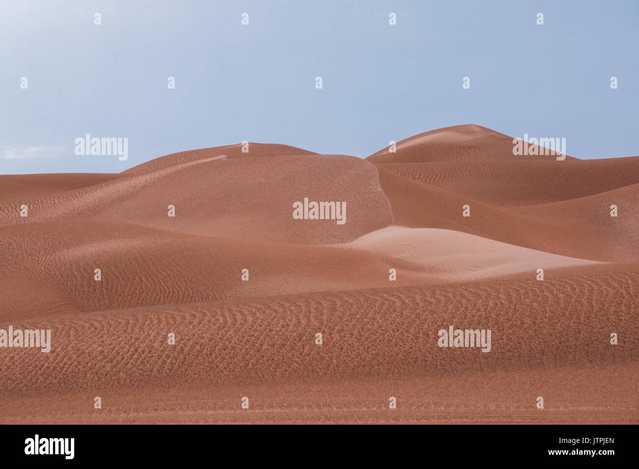 Desert after rain hi-res stock photography and images - Alamy