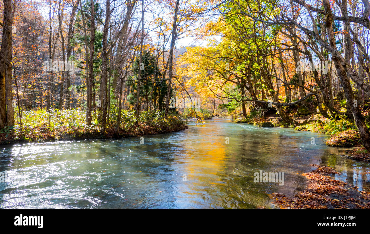 The Mysterious Oirase Stream flowing through the autumn forest in ...