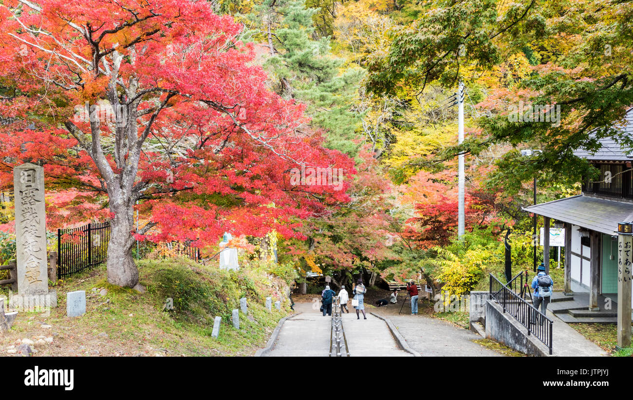 The Fudo stream and the red bridge at Mount Nakano-Momiji Stock Photo ...