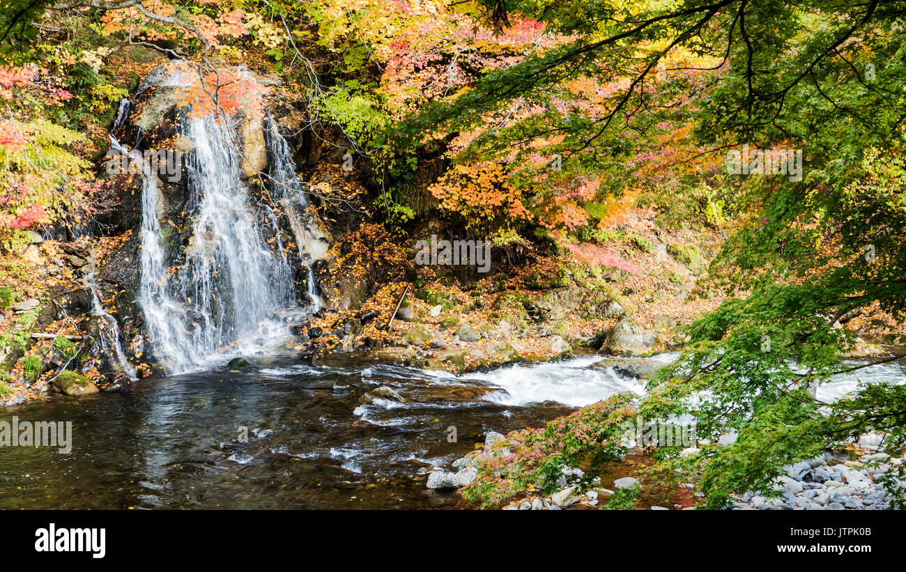 The Fudo stream and the red bridge at Mount Nakano-Momiji Stock Photo ...