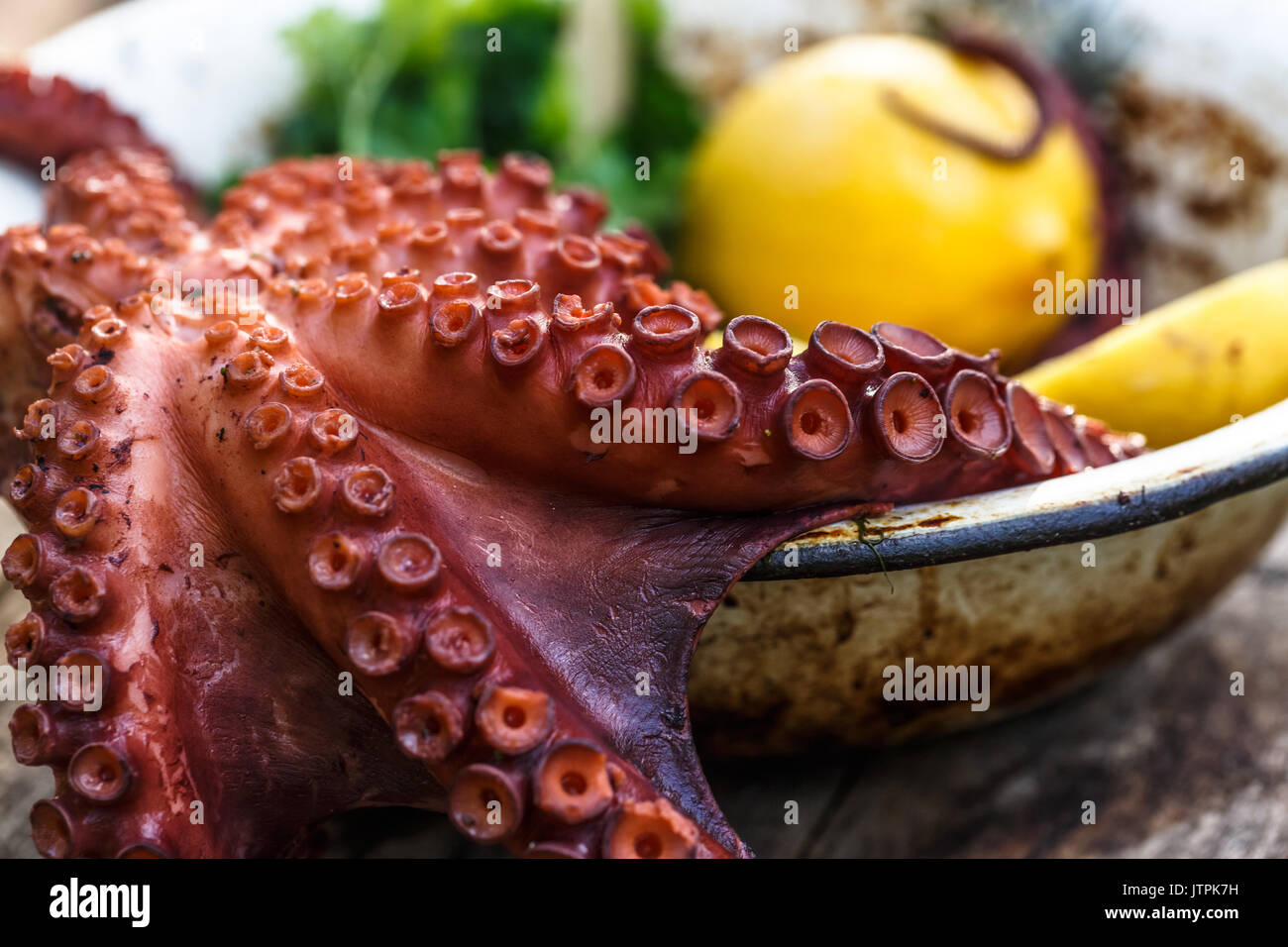 Tentacle sucker hi-res stock photography and images - Alamy