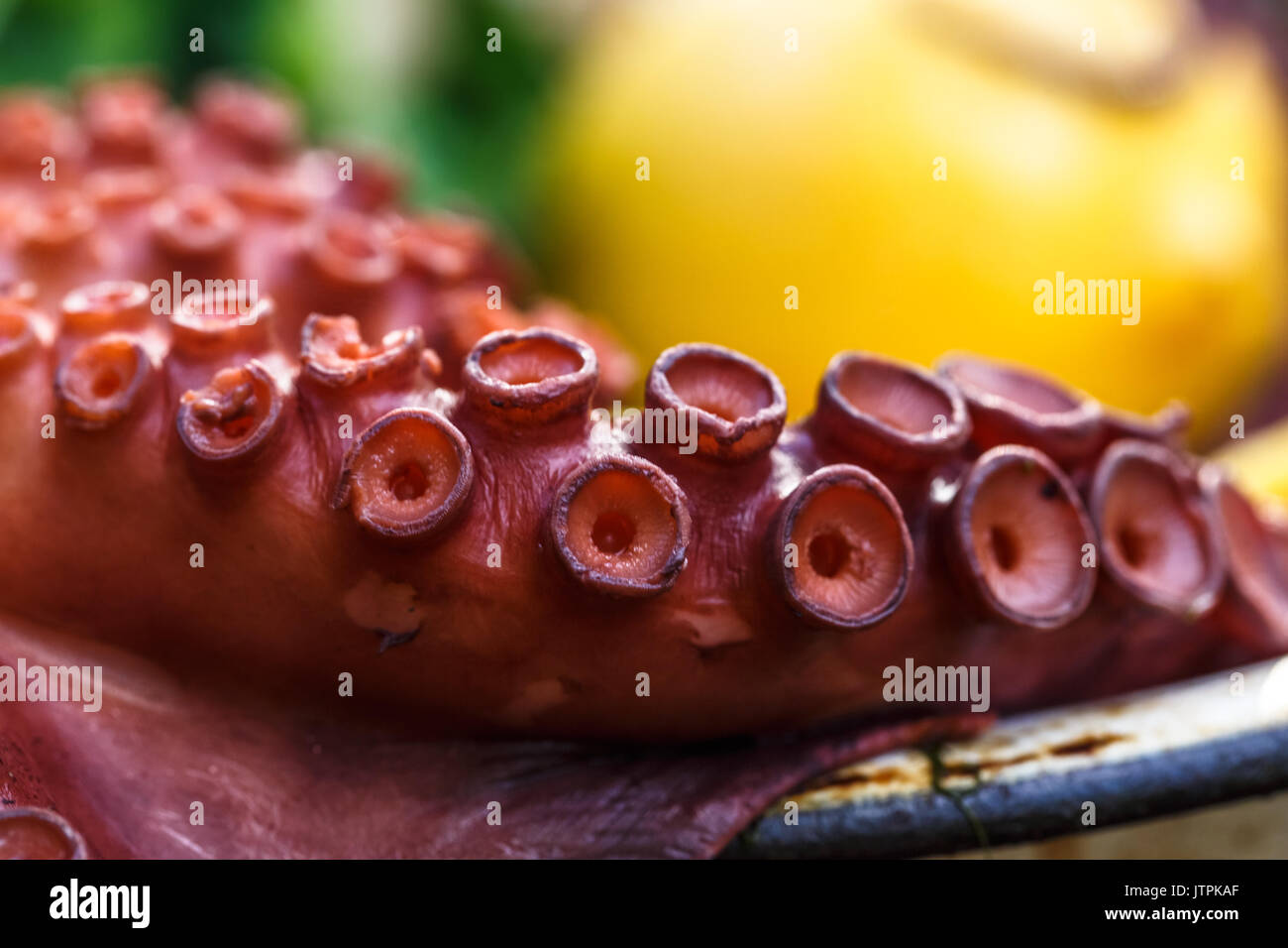 Tentacle pattern hi-res stock photography and images - Alamy