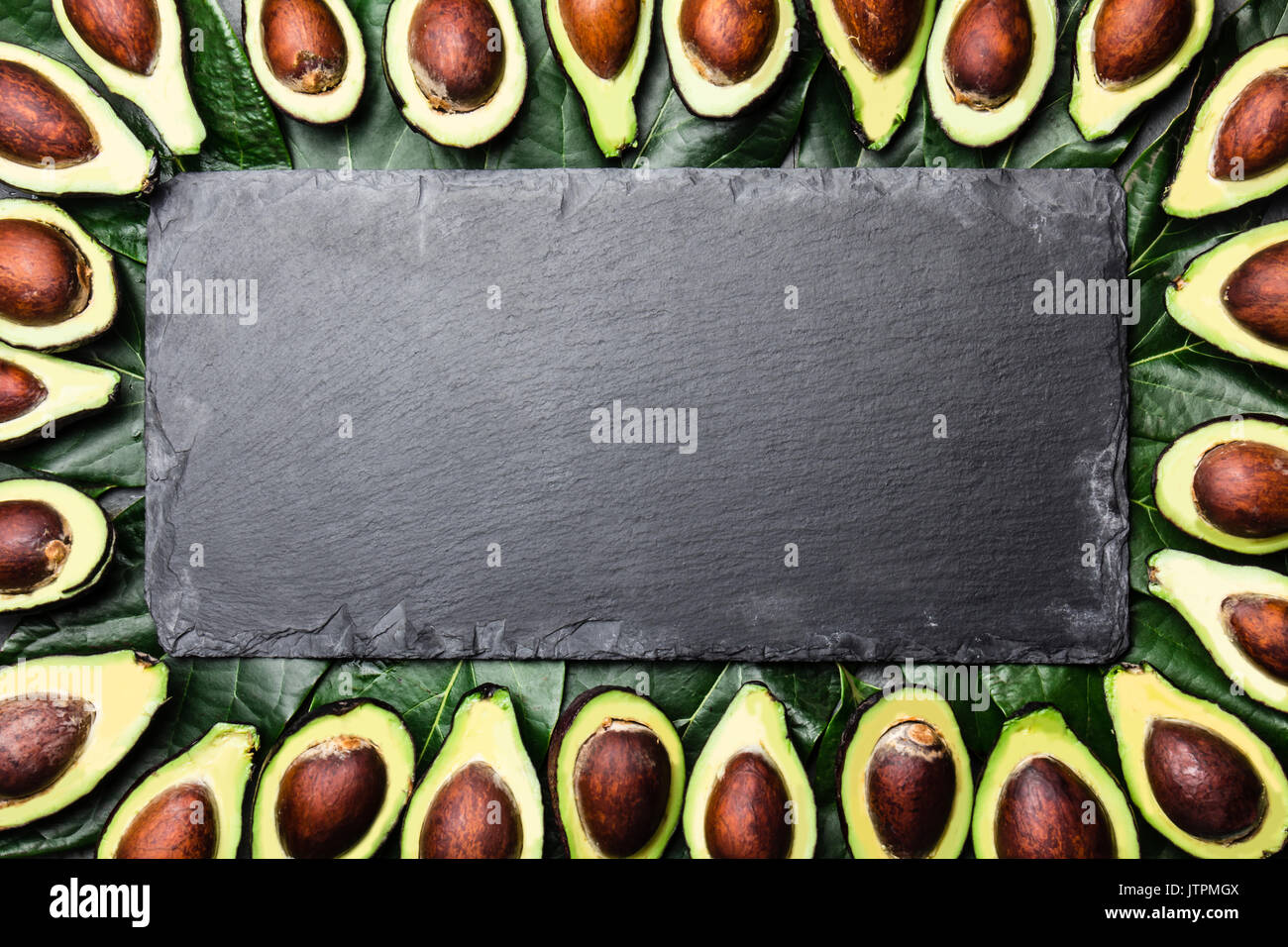 Avocado. Frame made from avocado palta and avocado tree leaves slate ...