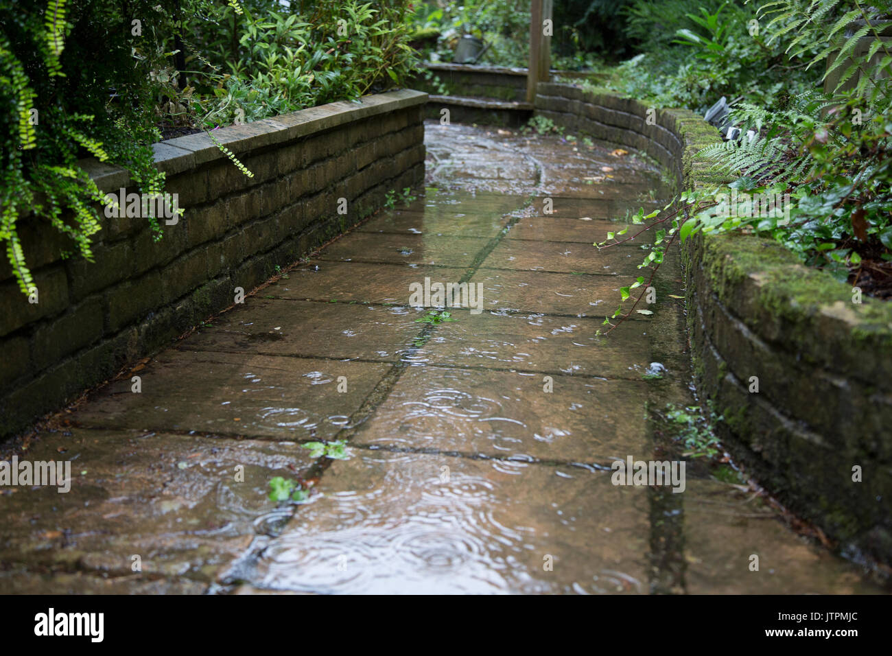 Rain Falling in Puddles on a paved pathway Stock Photo - Alamy