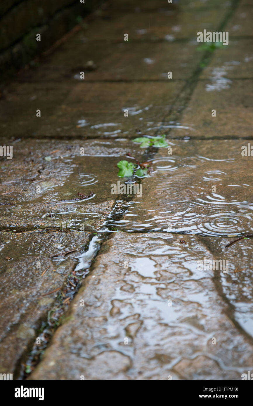 Rain Falling in Puddles on a paved pathway Stock Photo - Alamy