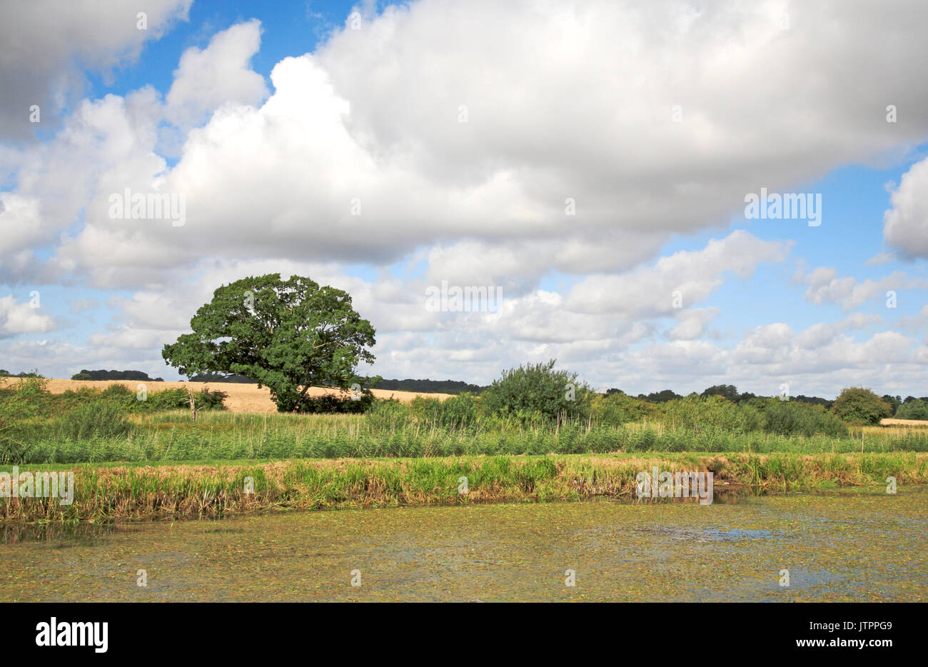 A country landscape by the old North Walsham and Dilham Canal near ...