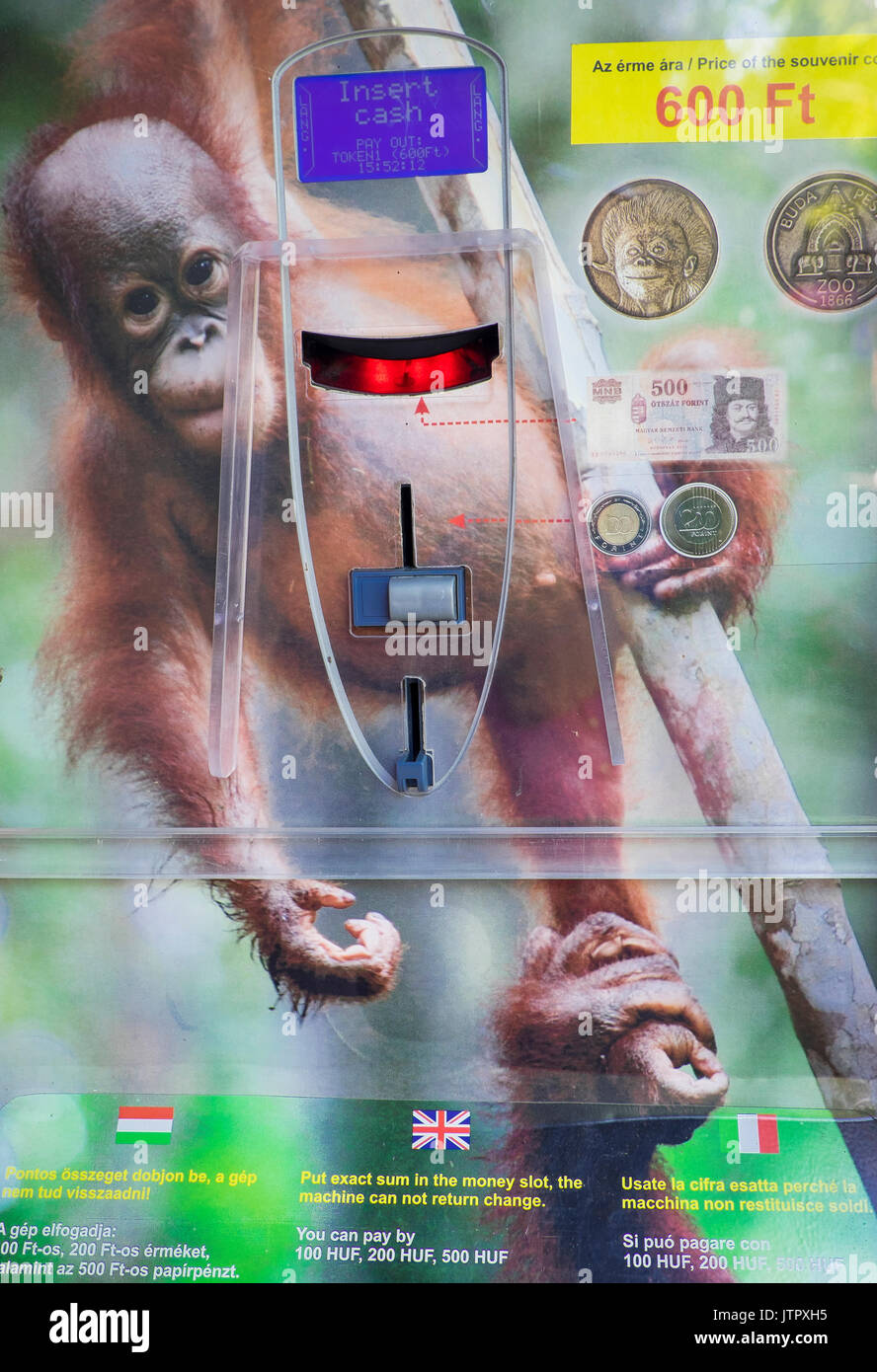 one of the oldest zoos in the world Budapest Zoo looks back on great ...