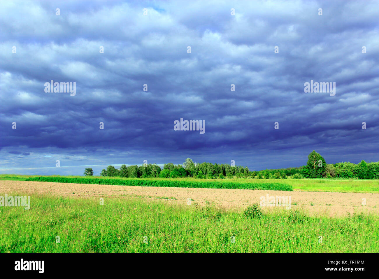 landscape with dark thundercloud clouds under the forest and land. The ...