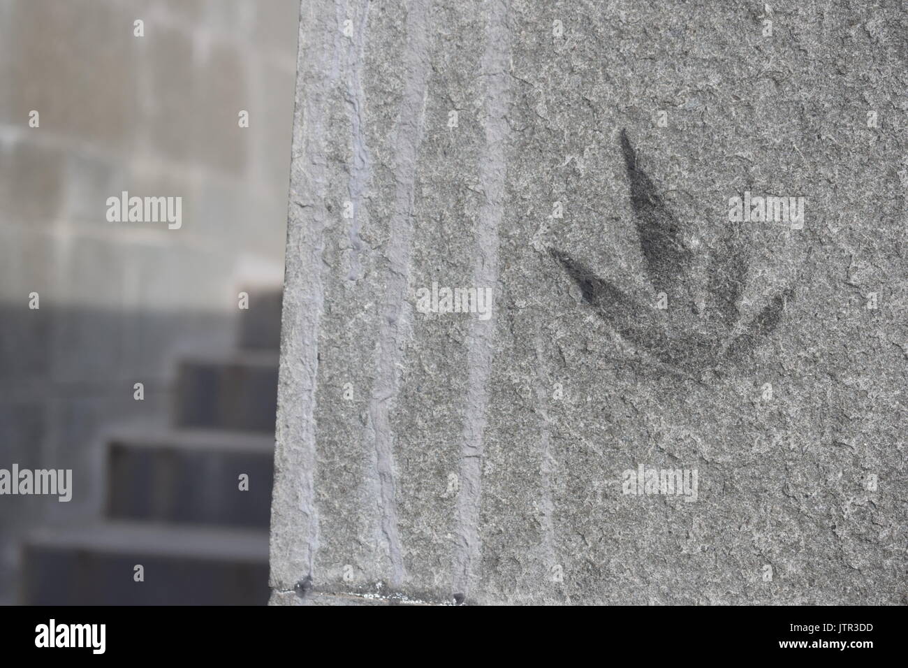 Marijuana graffiti hi-res stock photography and images - Alamy