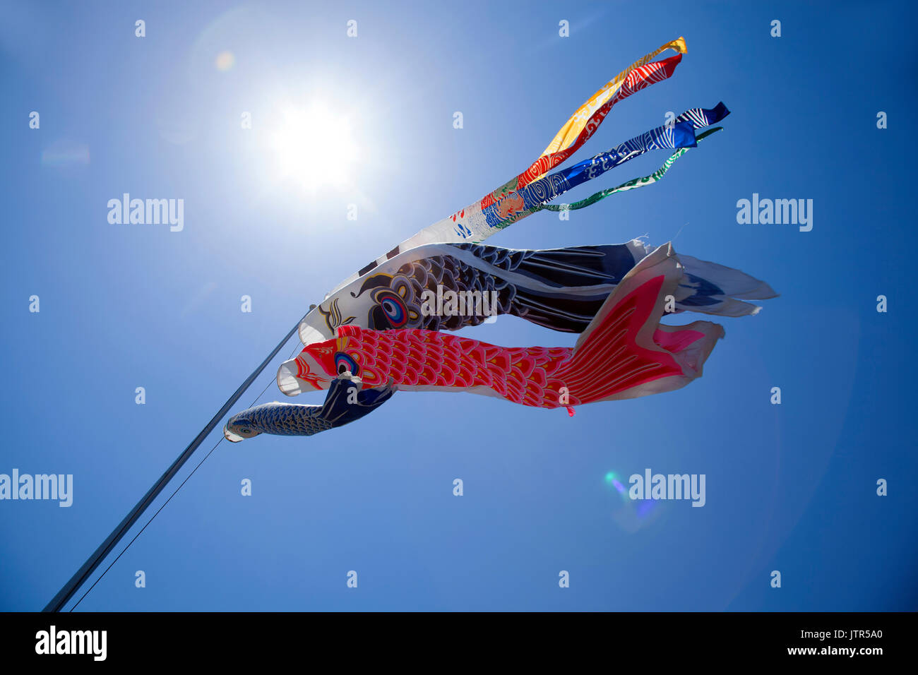 Japanese samurai kites hi-res stock photography and images - Alamy