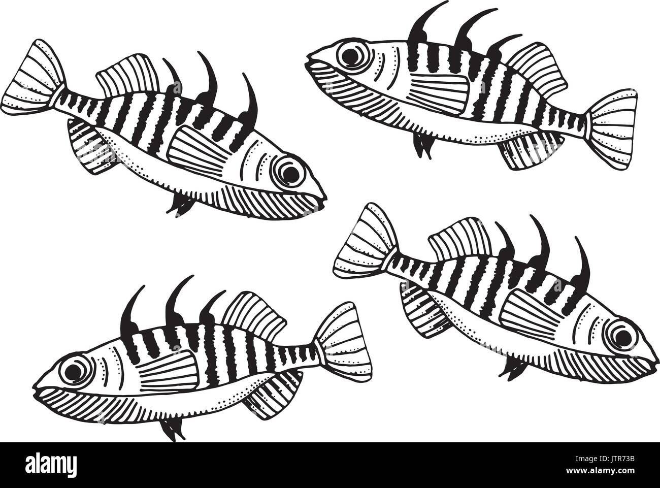 Fish pen drawing hi-res stock photography and images - Alamy