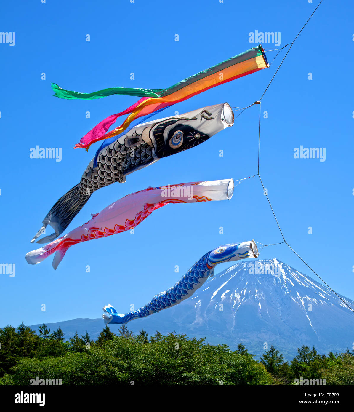 Colourful Koinobori Carp Kites against a clear blue sky at the Asagiri ...