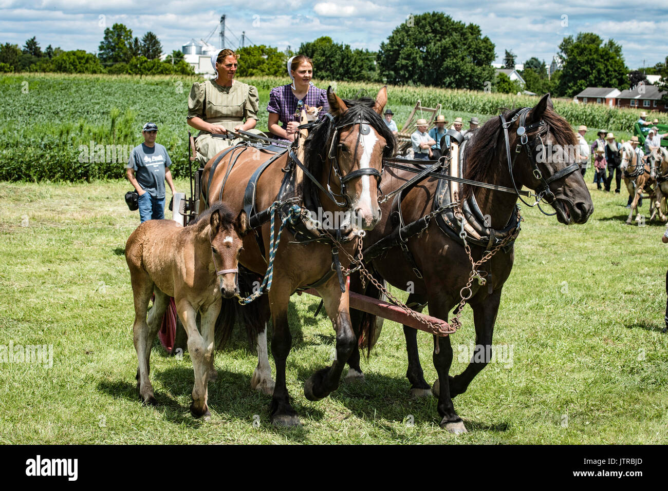 Harvest, thresher days, displays and recreation of antique farming ...