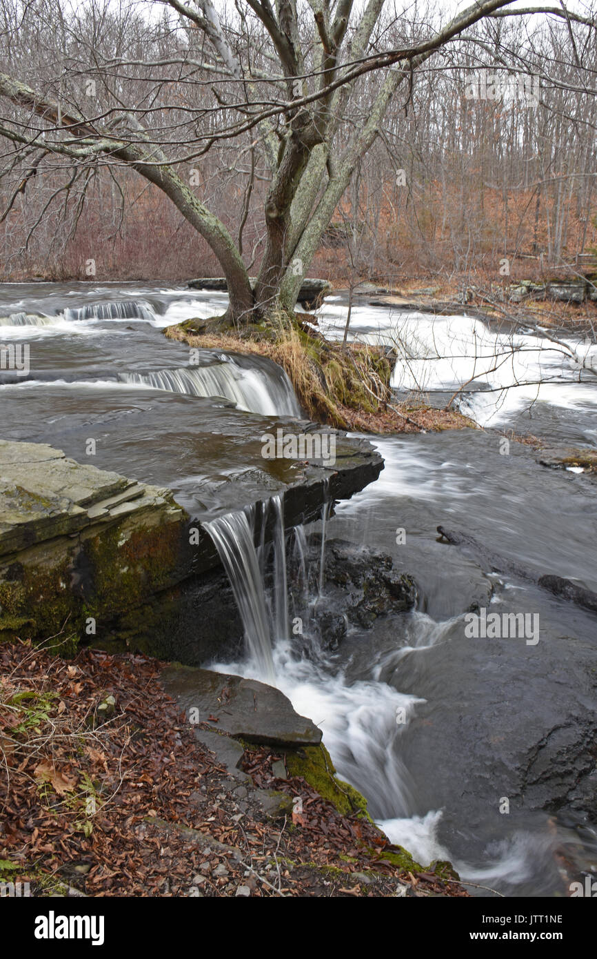 Winter waterfall with solitary tree Stock Photo - Alamy