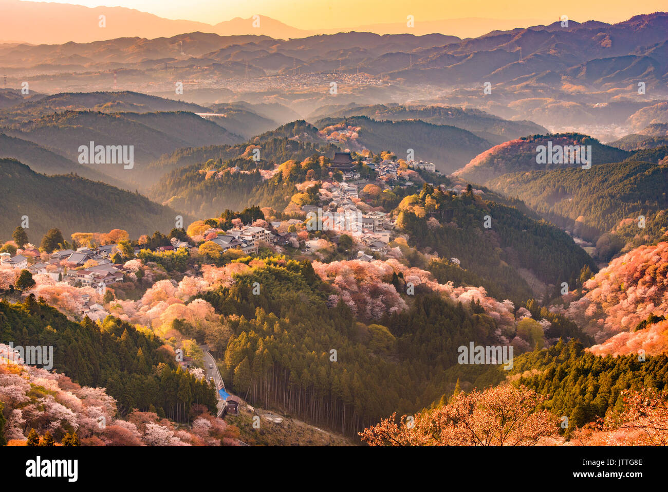 Yoshinoyama, Nara, Japan in spring season Stock Photo - Alamy