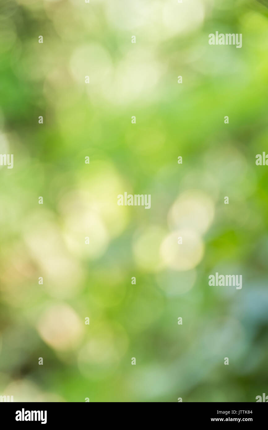 Abstract bokeh and blurred green nature background model is used to ...