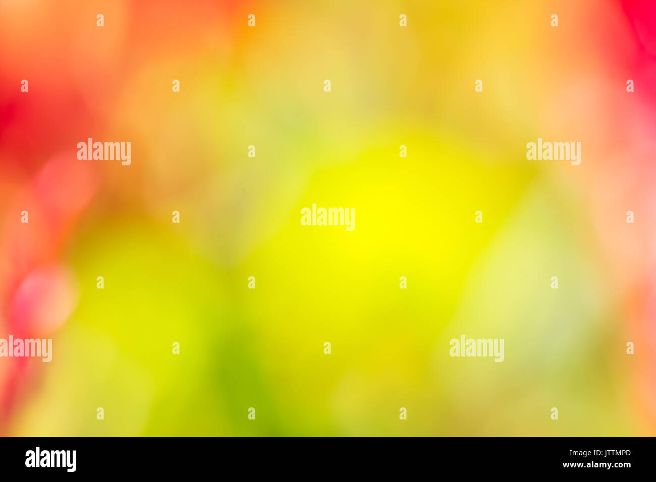 Abstract bokeh and blurred colorful nature background model is used to ...