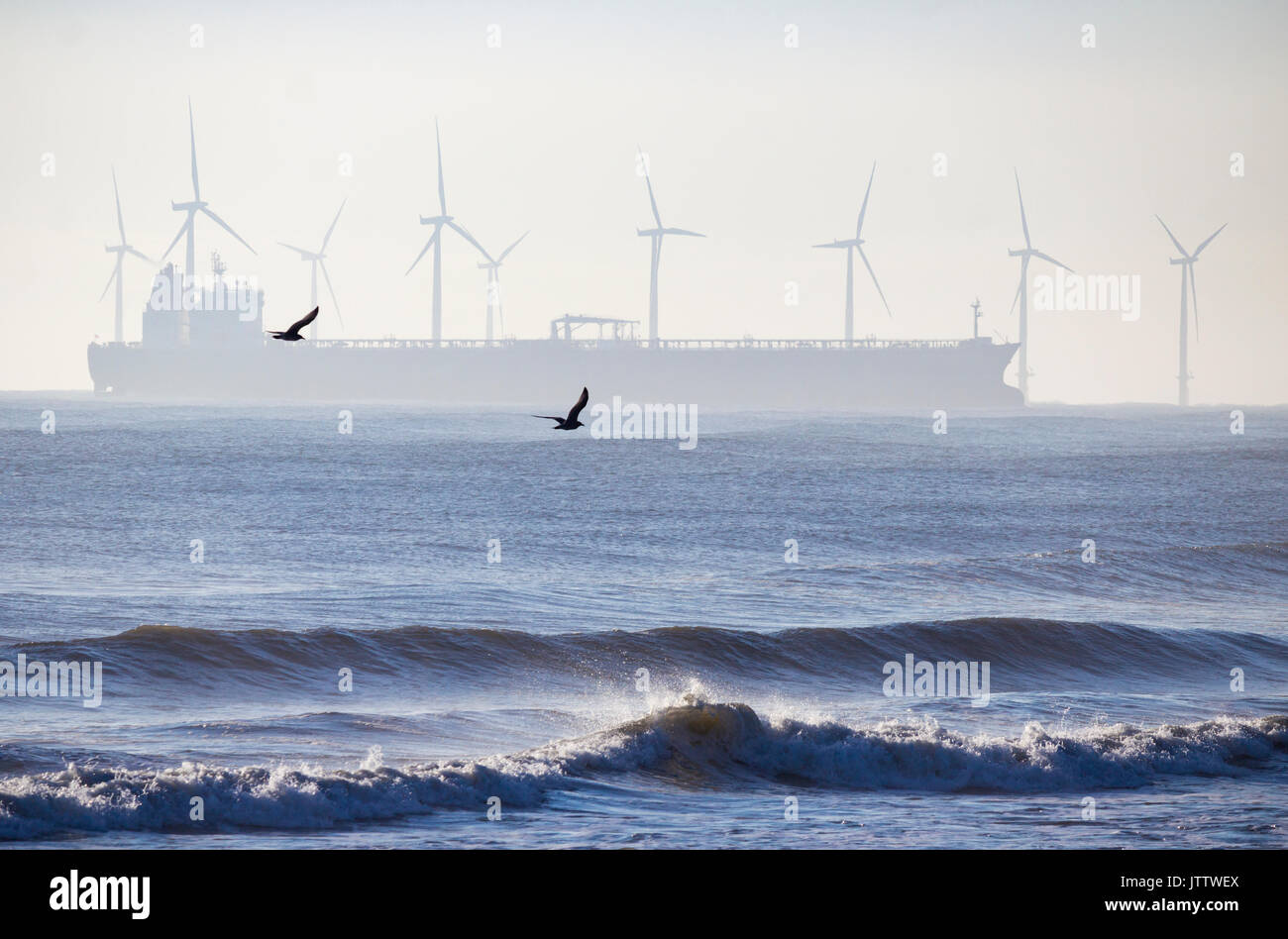 Teesside offshore wind farm on the north east coast at sunrise. England ...