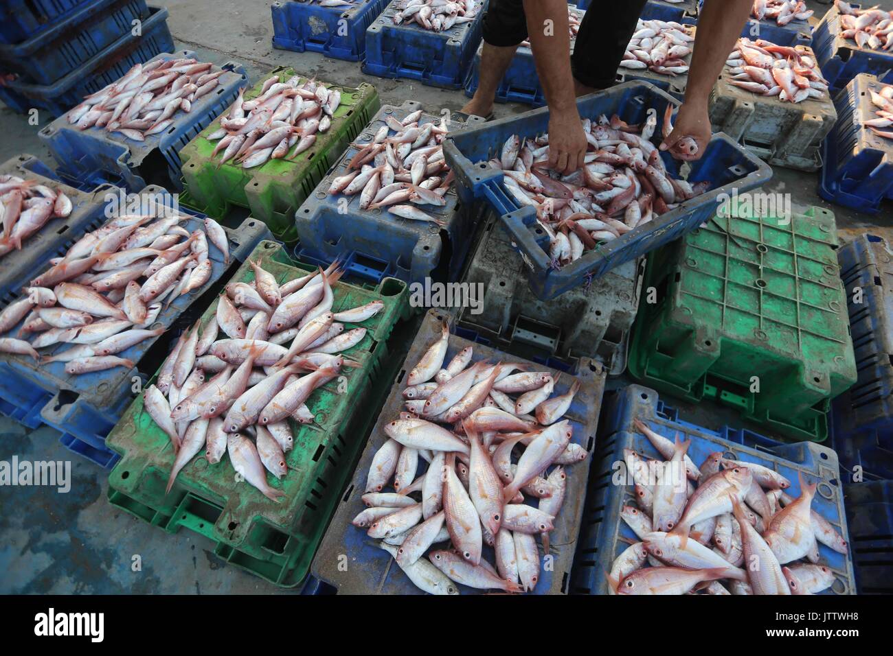 Gaza City, Gaza Strip, Palestinian Territory. 10th Aug, 2017 ...