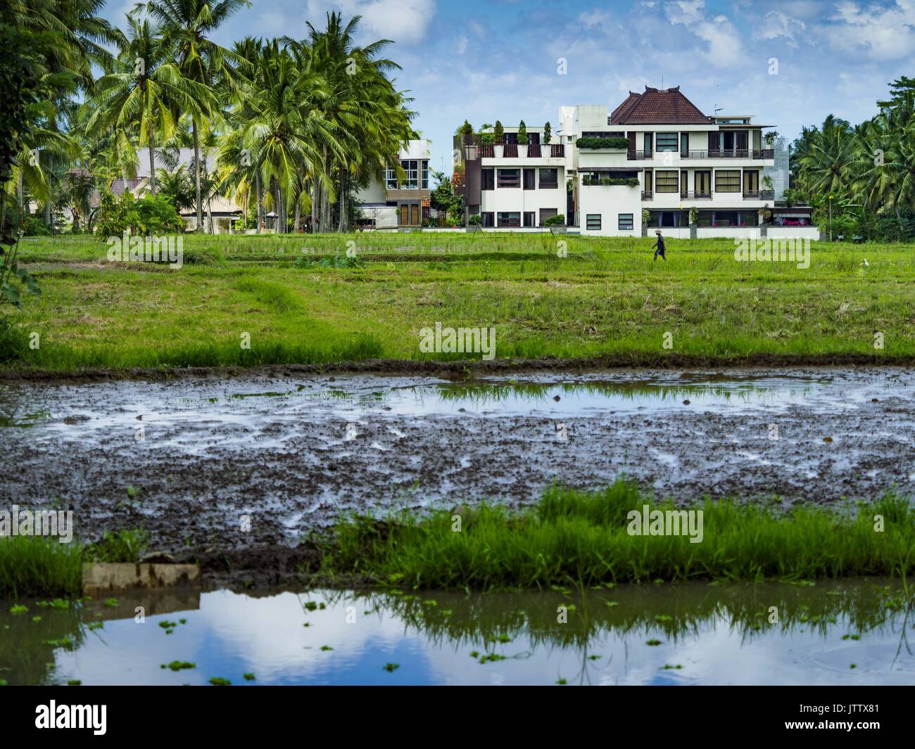 Downtown ubud hi-res stock photography and images - Alamy