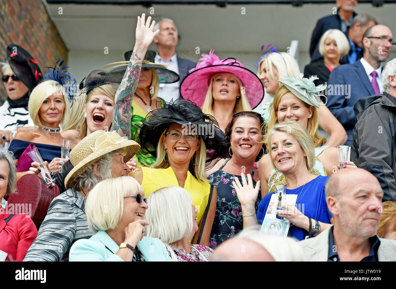 Brighton races cheering hi-res stock photography and images - Alamy