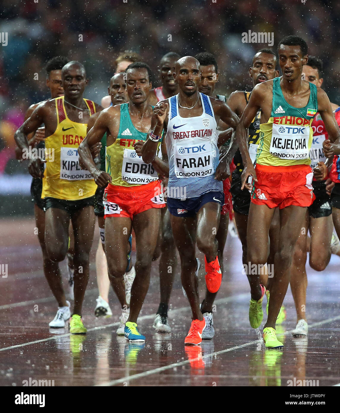 Jacob stam hi-res stock photography and images - Alamy