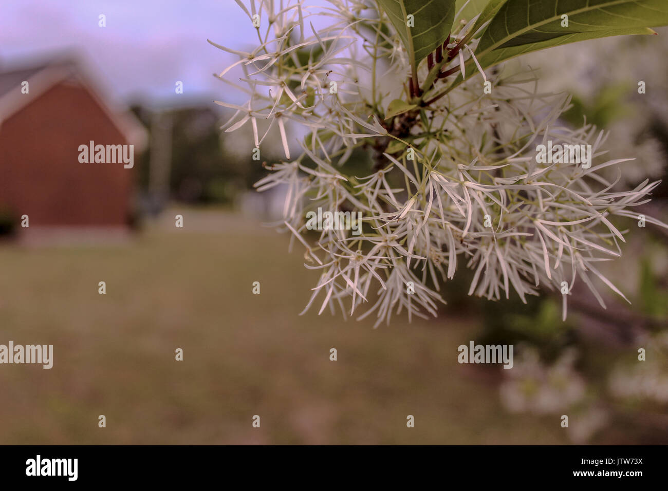 Beautiful shot in right hi-res stock photography and images - Alamy