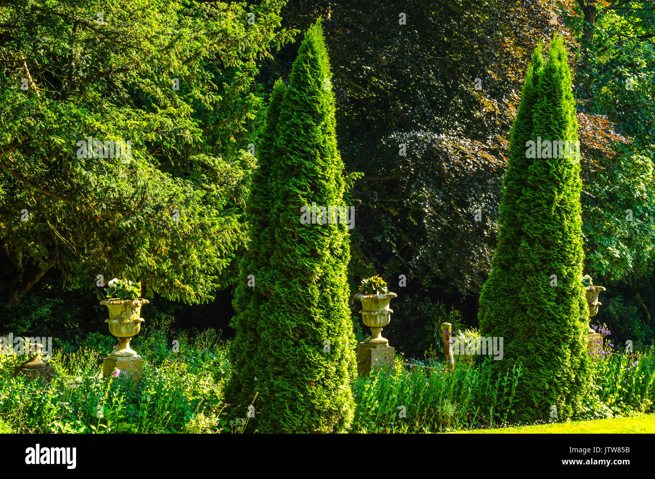 Green park, freshly cut vegetation, well maintained park, walking path ...