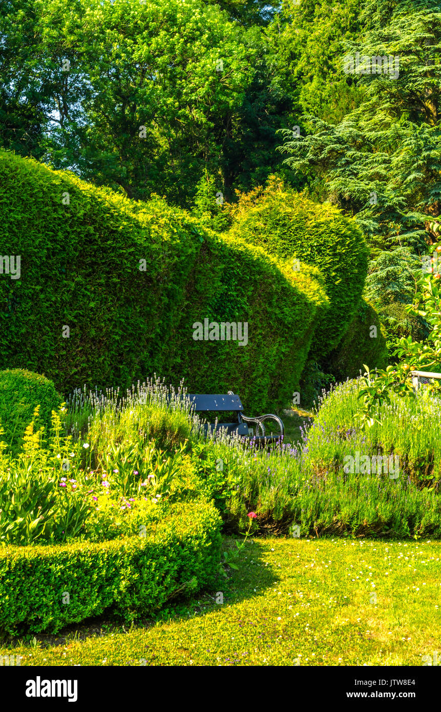 Green park, freshly cut vegetation, well maintained park, walking path ...