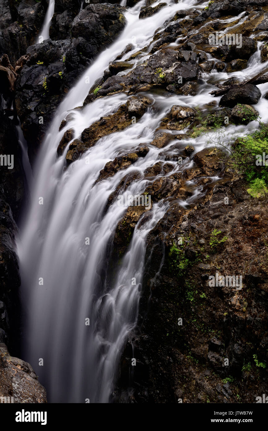 Beautiful waterfall nature scenery at Englishman River Falls Provincial ...