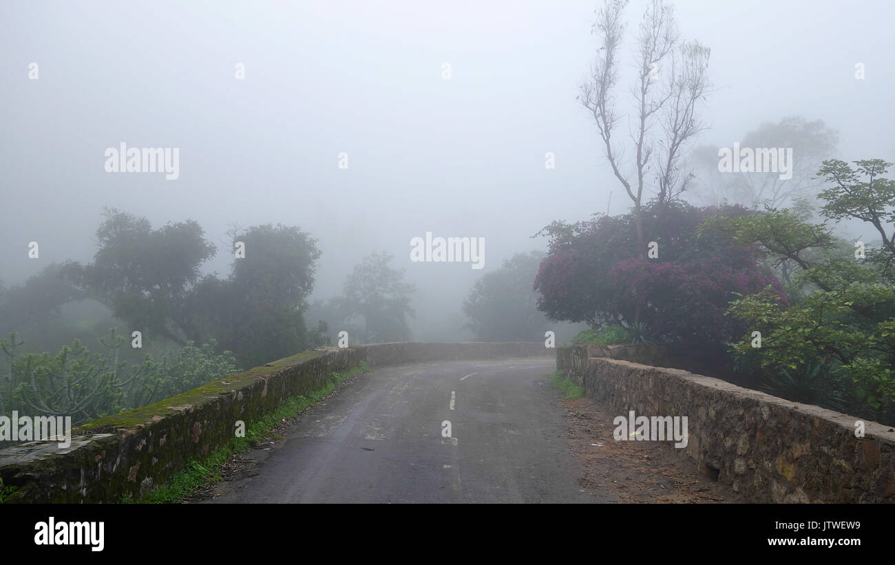 Mountain road with fog - mist at Mount Abu, Rajasthan, India during ...