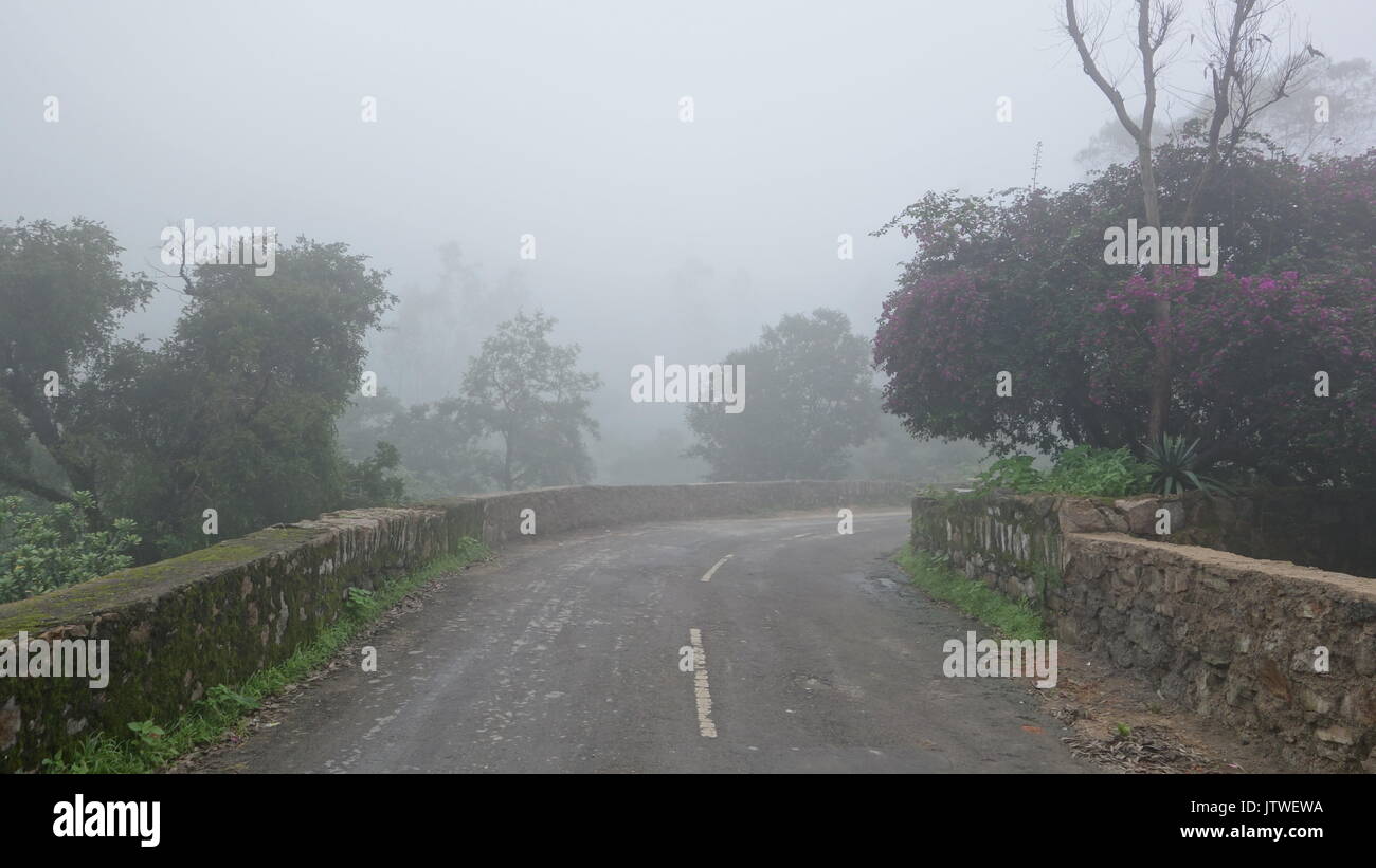 Mountain road with fog - mist at Mount Abu, Rajasthan, India during ...