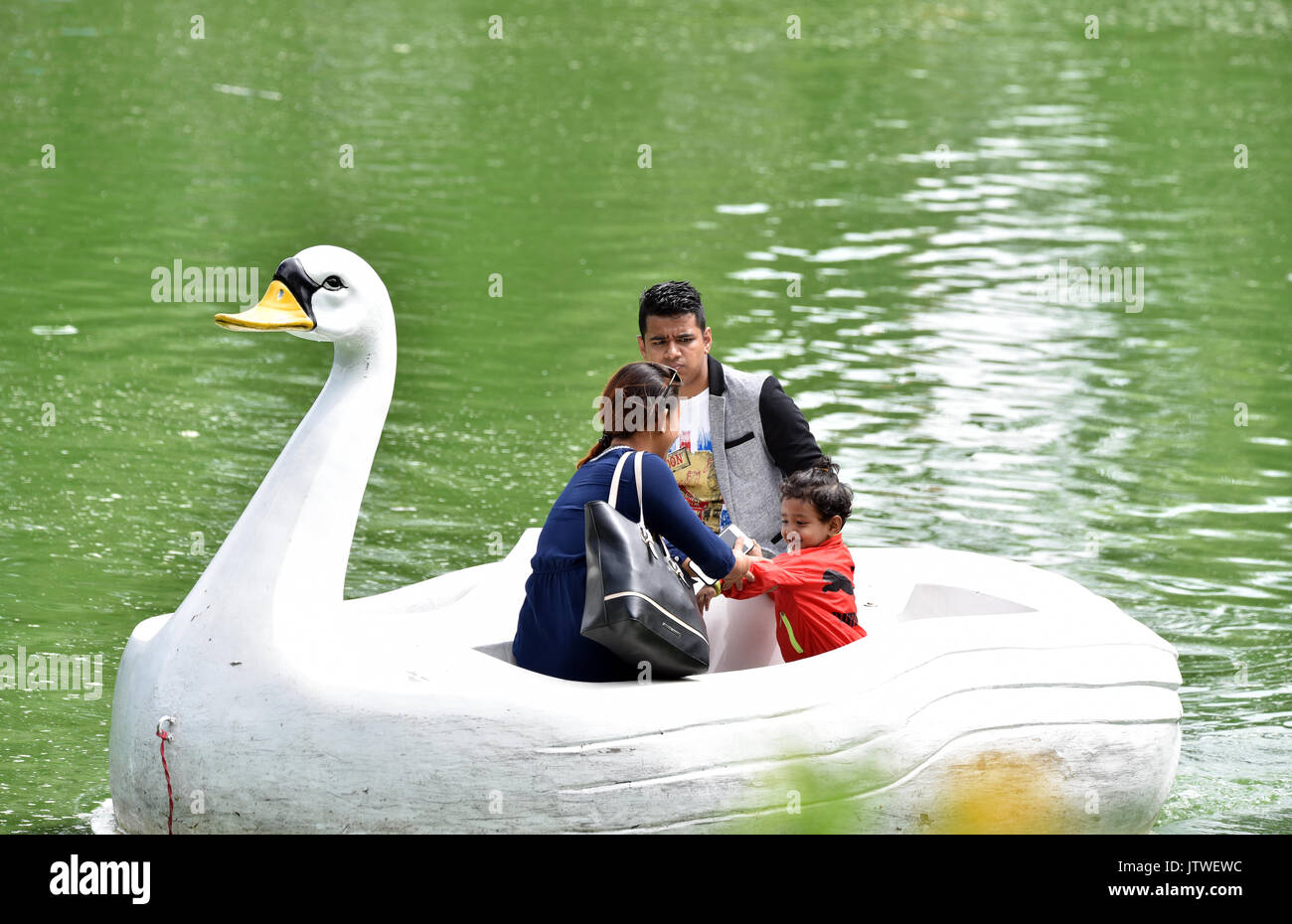 Swan boat hi-res stock photography and images - Alamy