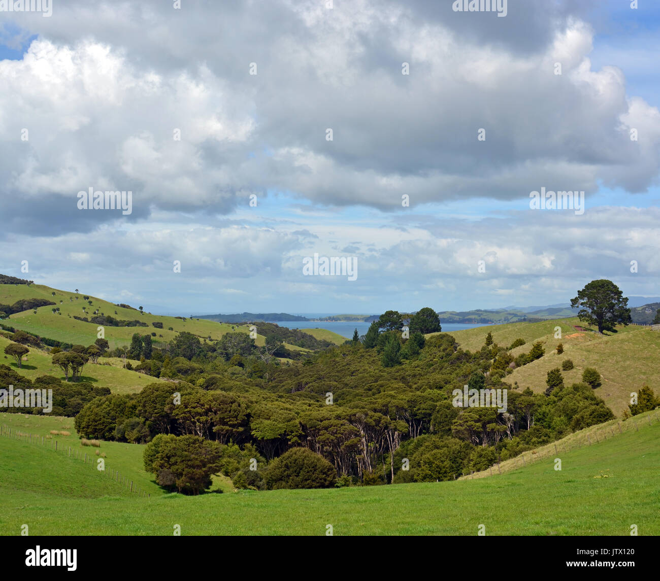 Vertical panoramic view of Native Bush and stormy sky at Stony Batter ...