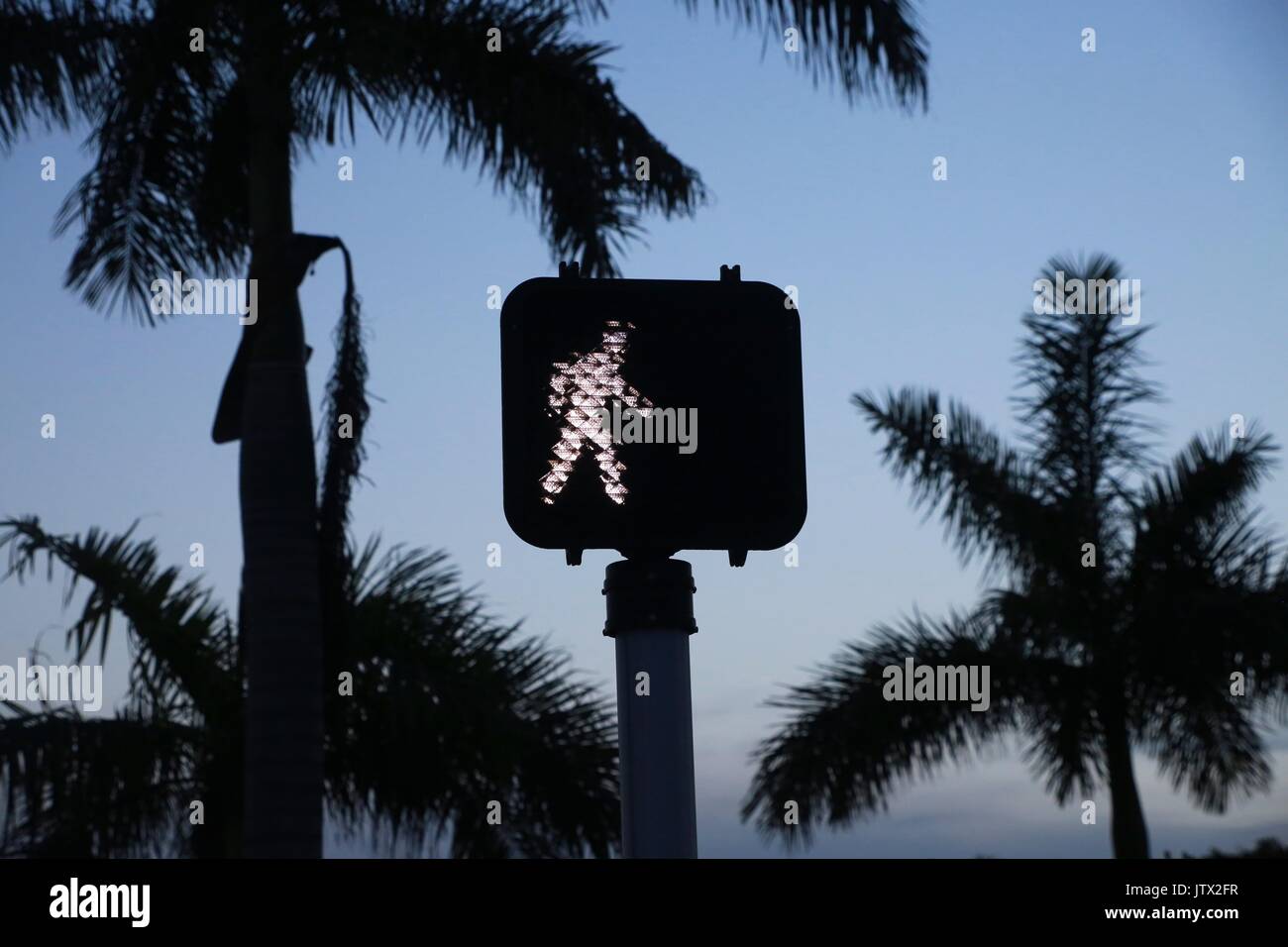 White Illuminated Walk Pedestrian Crossing Signal at Traffic ...