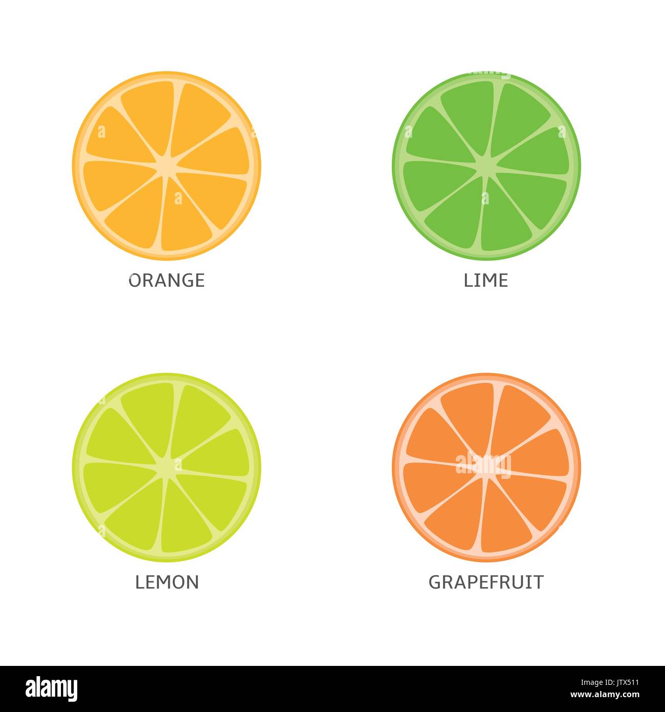 Pieces of citrus fruits Stock Vector Image & Art - Alamy