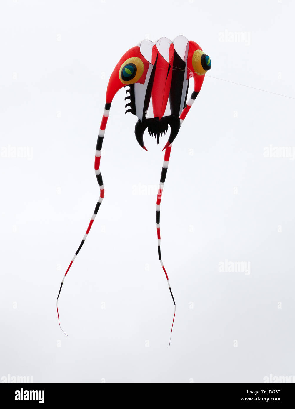 Types of kites hi-res stock photography and images - Alamy