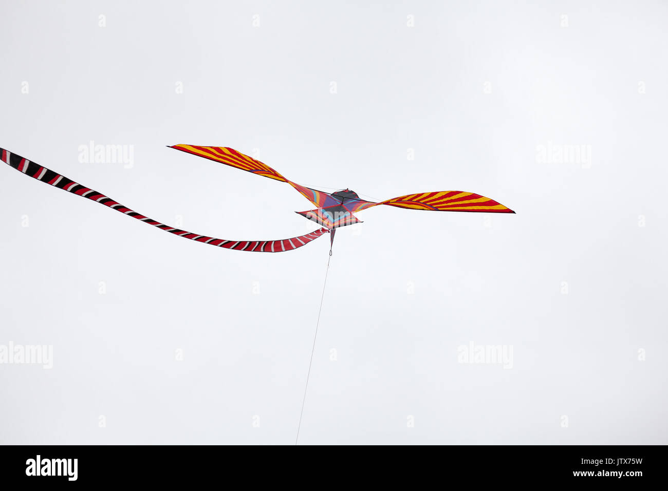 Types of kites hi-res stock photography and images - Alamy