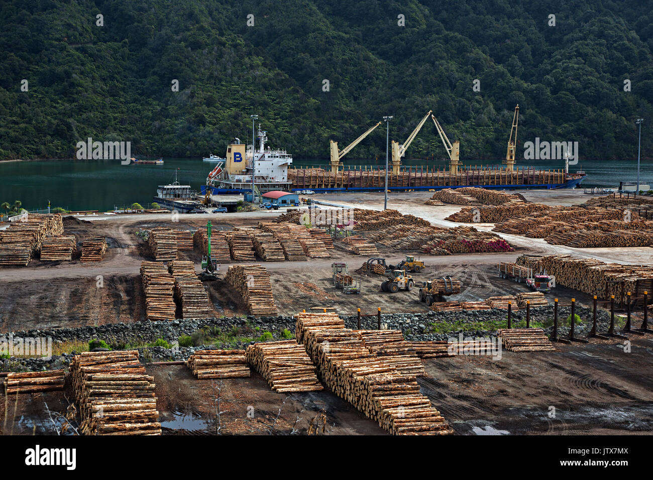 South Island log piles Stock Photo - Alamy