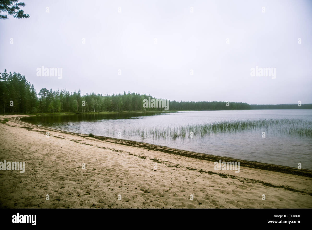 A beautiful lake landscape in Finland Stock Photo - Alamy