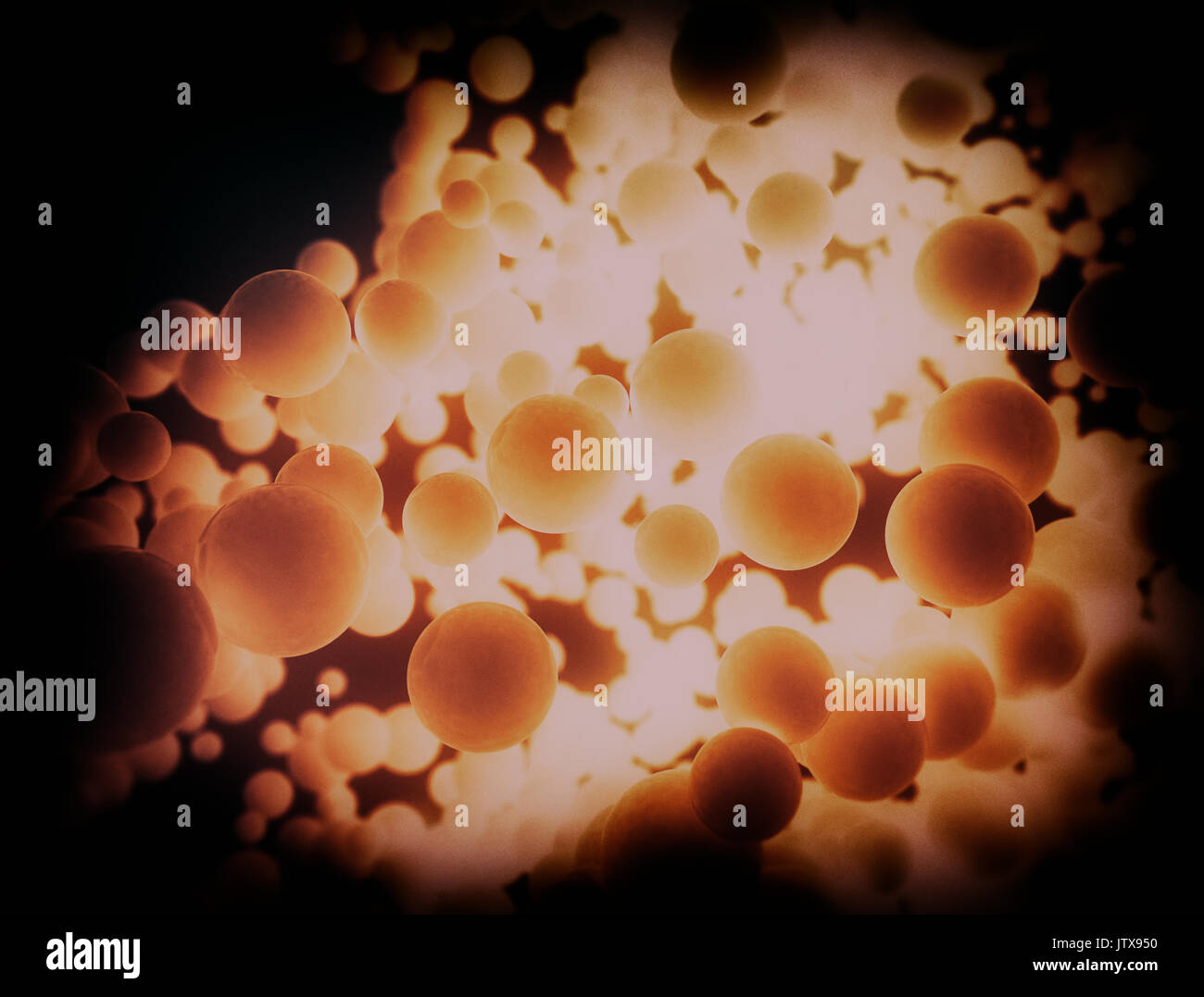 Nuclear cells hi-res stock photography and images - Alamy