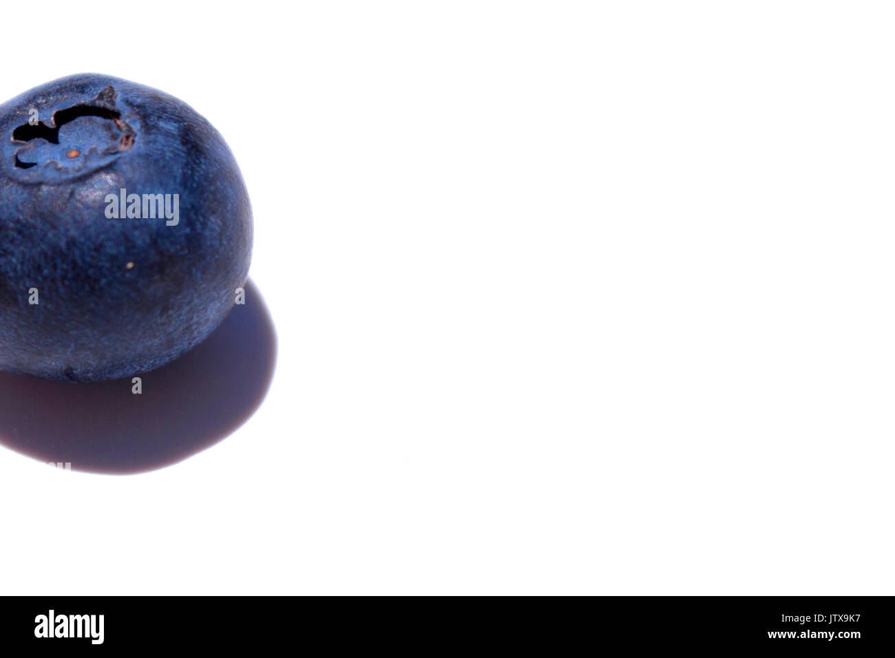 Blueberry. Close-up view of fresh Blueberries isolated on white ...