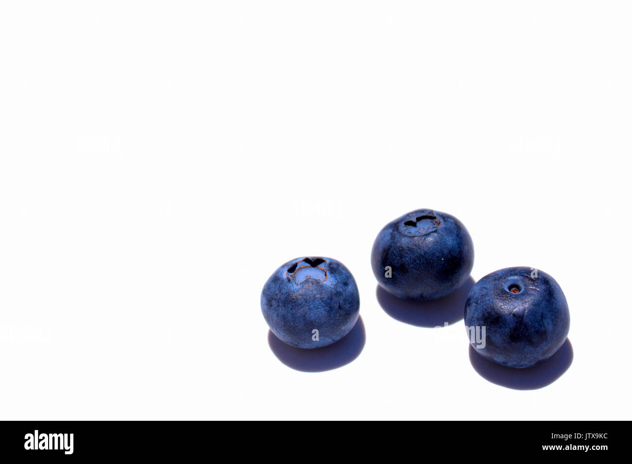 Blueberry. Close-up view of fresh Blueberries isolated on white ...